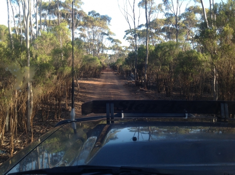 Holland Track » Shire of Kondinin
