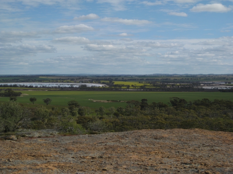 Kondinin » Shire of Kondinin